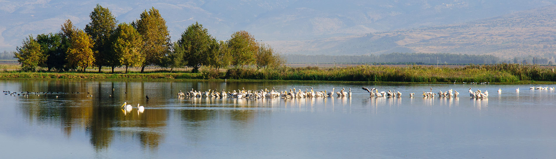 Family Vacation in northern Israel | EL AL