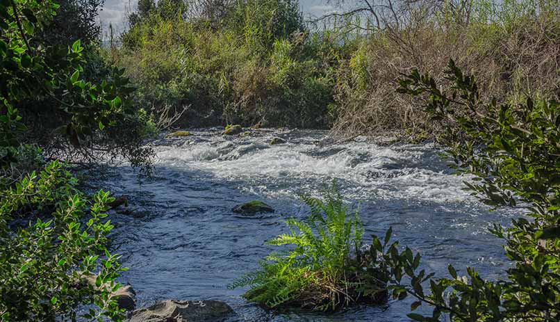 Jordan river: Explore Dan, Banias & Hazbani Streams | EL AL